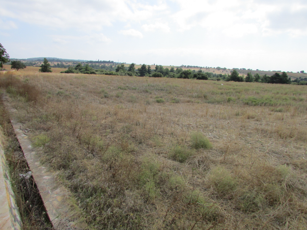 Fusilier’s Bluff – Gully Ravine